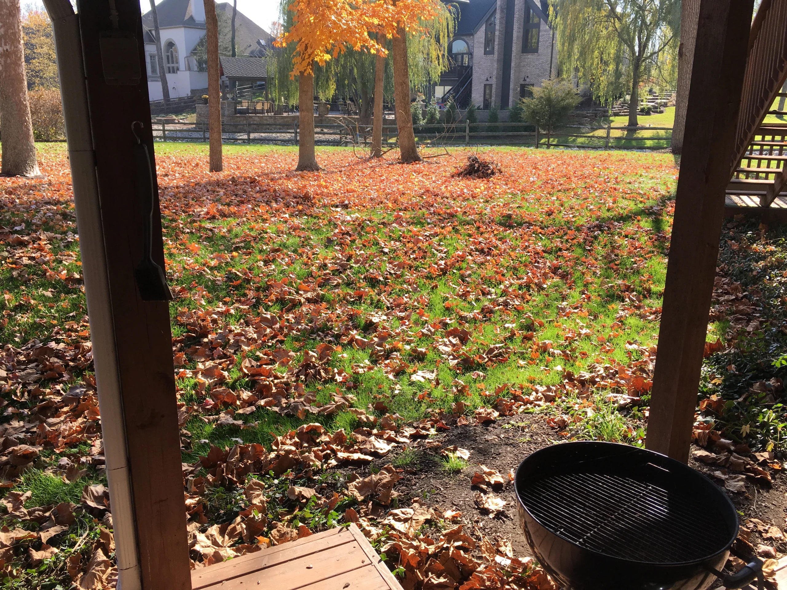 Indianapolis Leaf Removal - Calvin Landscape