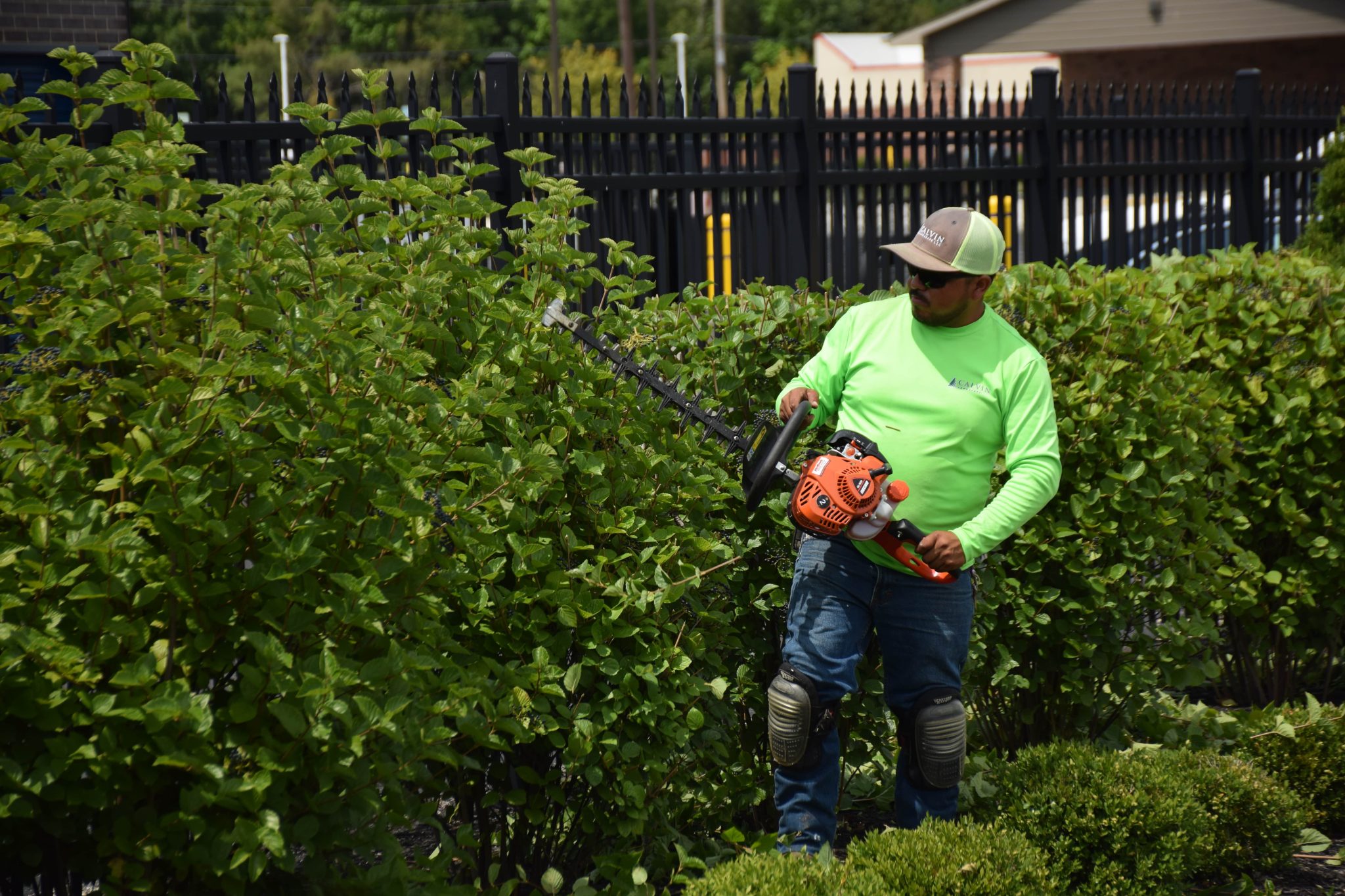 Award Winning Indianapolis Landscaper - Calvin Landscape
